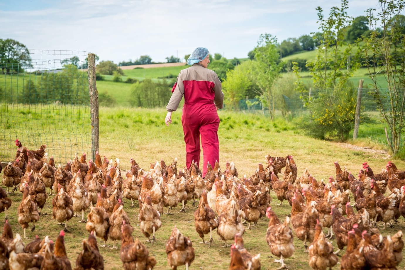 Agent d'élevage avicole | L'aventure du Vivant